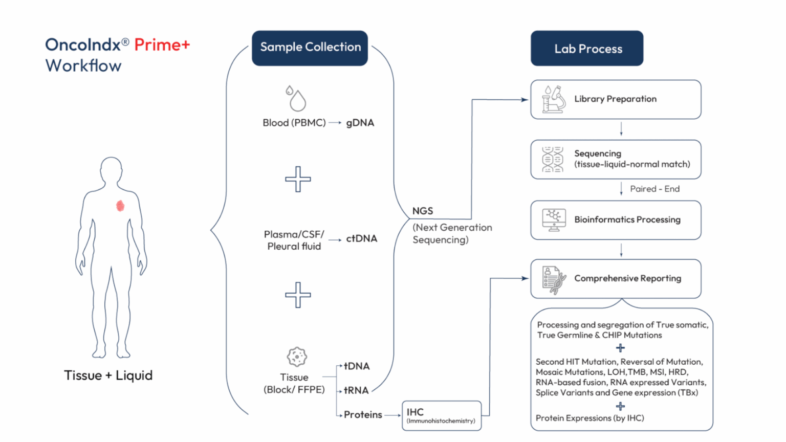 Prime Plus India | AI Single Cell Sample Prep Platform